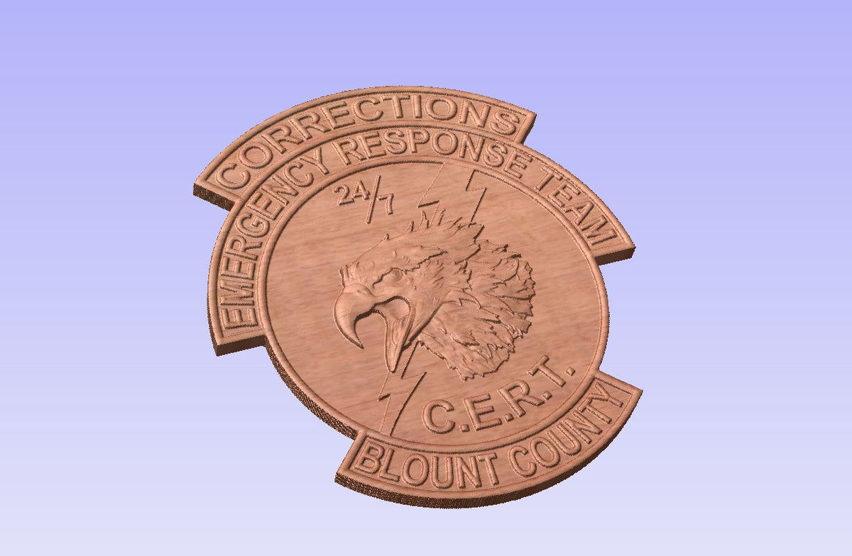 Blount County Tennessee Sheriff's Department Corrections CERT Plaque ...